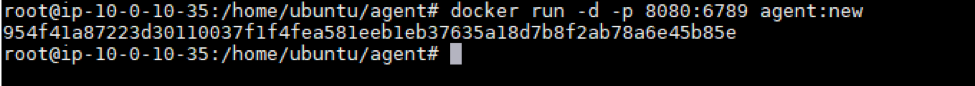 Automation Host Docker Setup Instructions